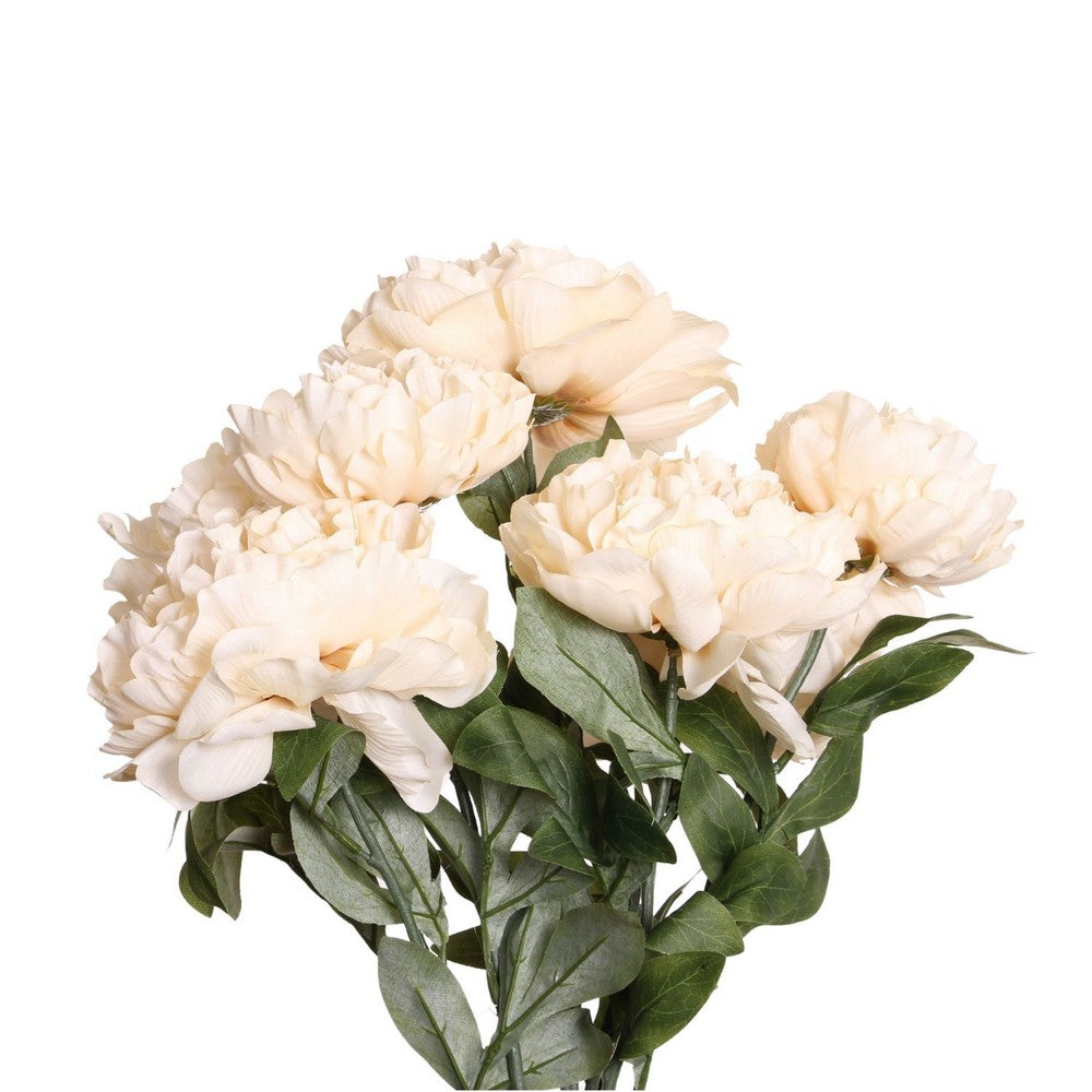 BARTZILLA PEONY BUSH X 7/ CHAMPAGNE – North American Wholesale Florist ...