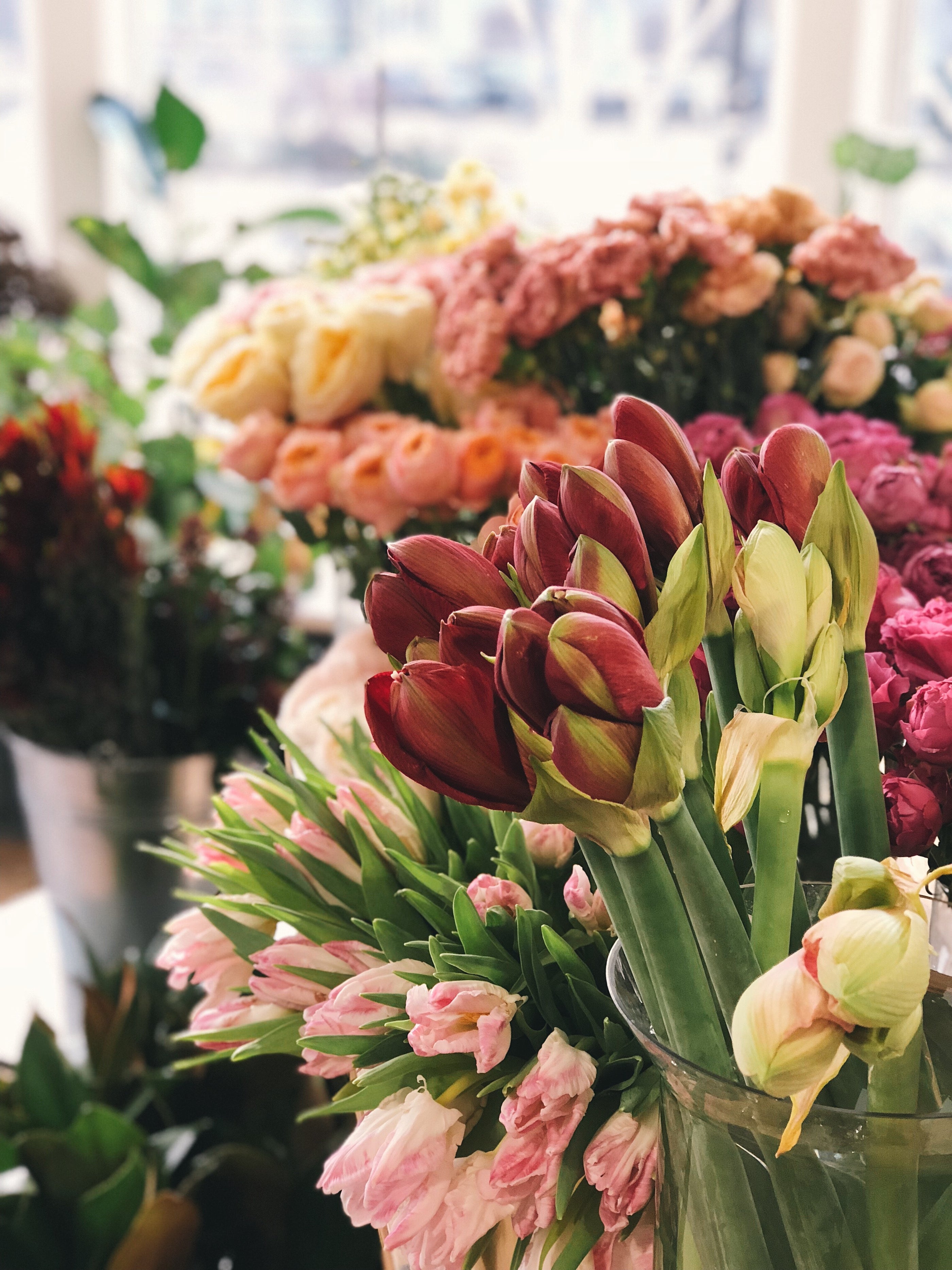 North American Wholesale Florist, Inc.